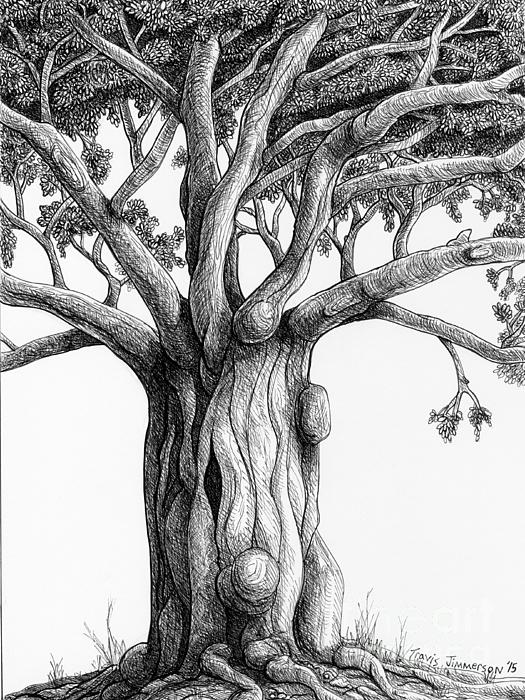 Tree number 2 Drawing by Travis Jimmerson - Fine Art America