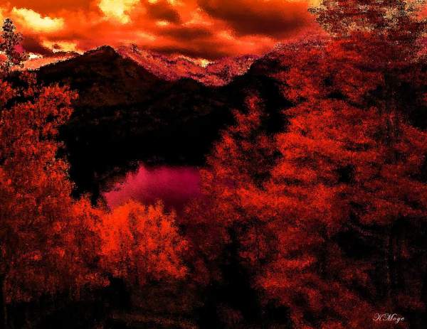 Online Art Contest - Mostly Red | Fine Art America