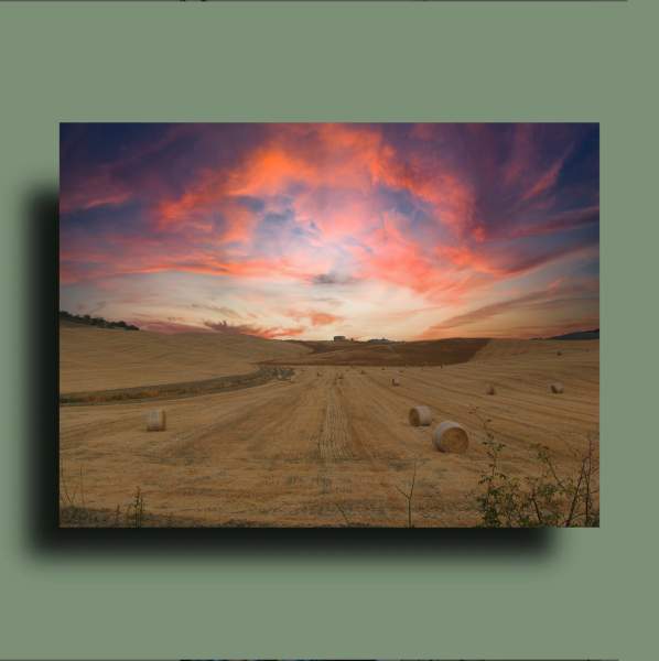 Online Art Contest - Sunset | Fine Art America