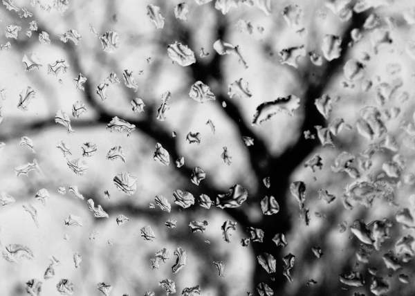 Online Art Contest - Rain | Fine Art America
