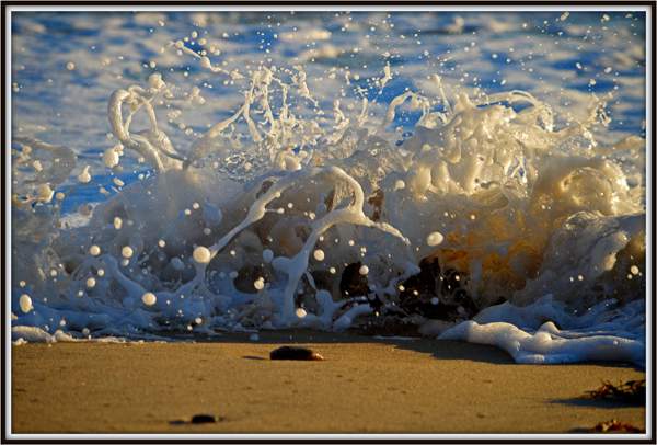 Online Art Contest - Macro - Scenes From A Beach - Read The Rules ...