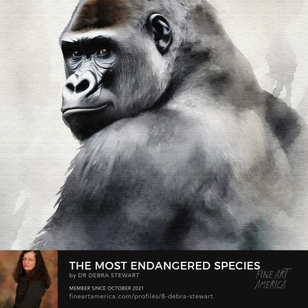 Online Art Contest - Science Without Borders Workshop | Fine Art America