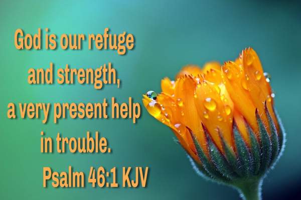 Online Art Contest - Scripture Portraits | Fine Art America