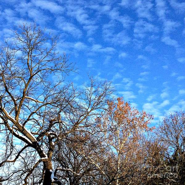 Online Art Contest - Winterfold Square Format | Fine Art America