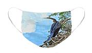 Anhinga in the Clouds Photograph by Deborah Benoit - Fine Art America